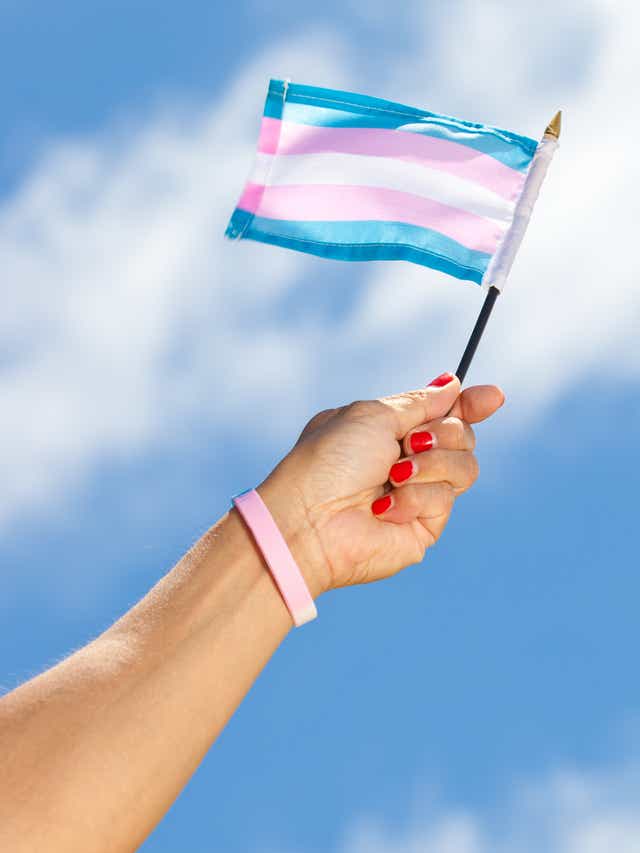 Transgender Stick Flag 4x6in | Rad Pride | You Shop We Donate