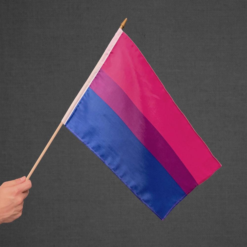 Bisexual Stick Flag 12x18in | Rad Pride | You Shop We Donate